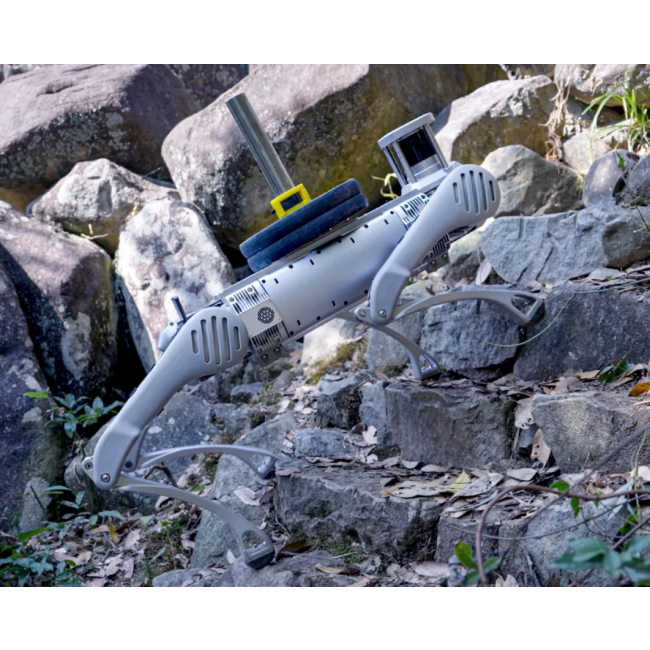 Unitree B2 Robotic Dog Features, Specs, Price and Interfaces